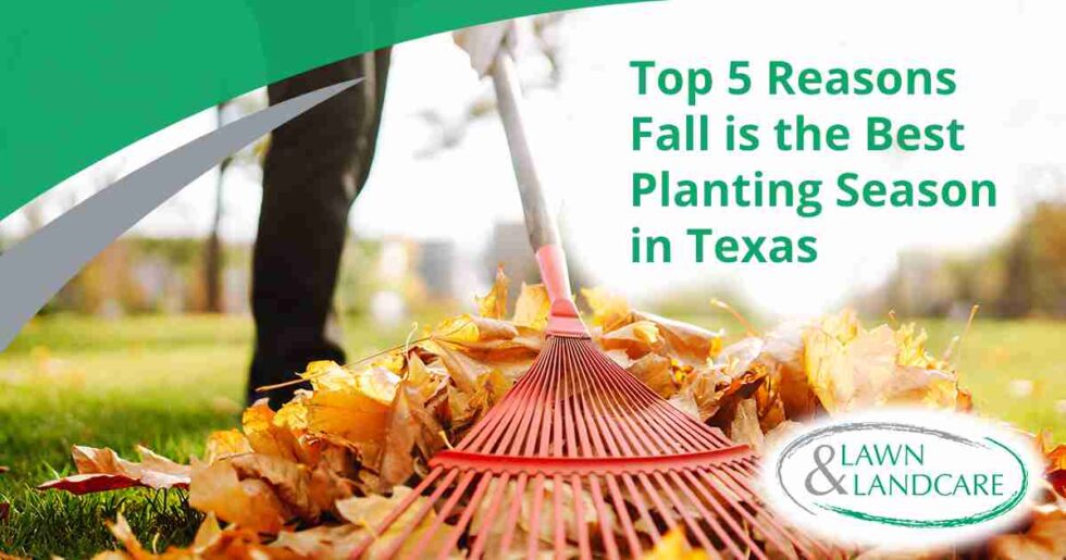 Top 5 Reasons Fall is the Best Planting Season in Texas | Lawn & Landcare